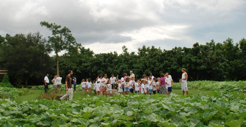 Paradise Farms Tours – Premier Guide Miami