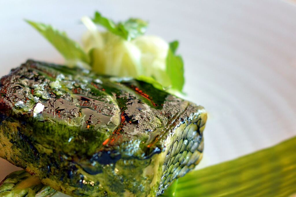PLANKTON IS THE LATEST DELICACY ON THE NEW MENU AT KLIMA RESTAURANT AND ...