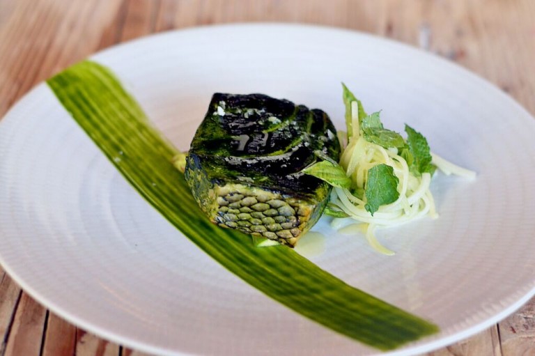 PLANKTON IS THE LATEST DELICACY ON THE NEW MENU AT KLIMA RESTAURANT AND ...