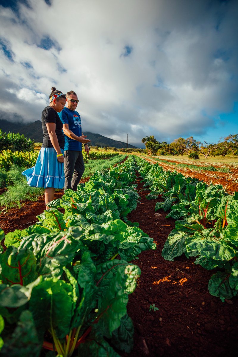 “Taste of Waldorf Astoria” Culinary Competition Stirs and Shakes Up ...