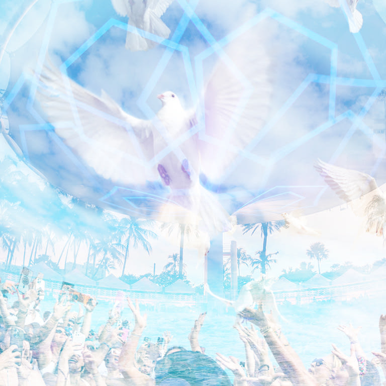 Daybreaker’s 11th season — The Peace Tour – Premier Guide Miami