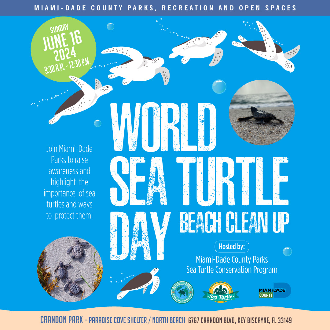 World Sea Turtle Day – Premier Guide Miami