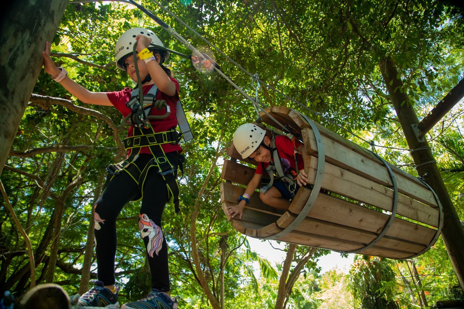 Night Treks at Treetop Trekking Miami – Premier Guide Miami