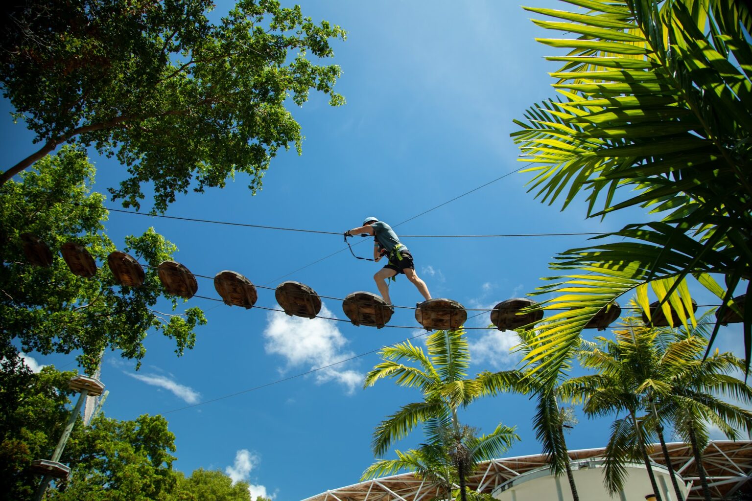 Night Treks at Treetop Trekking Miami – Premier Guide Miami
