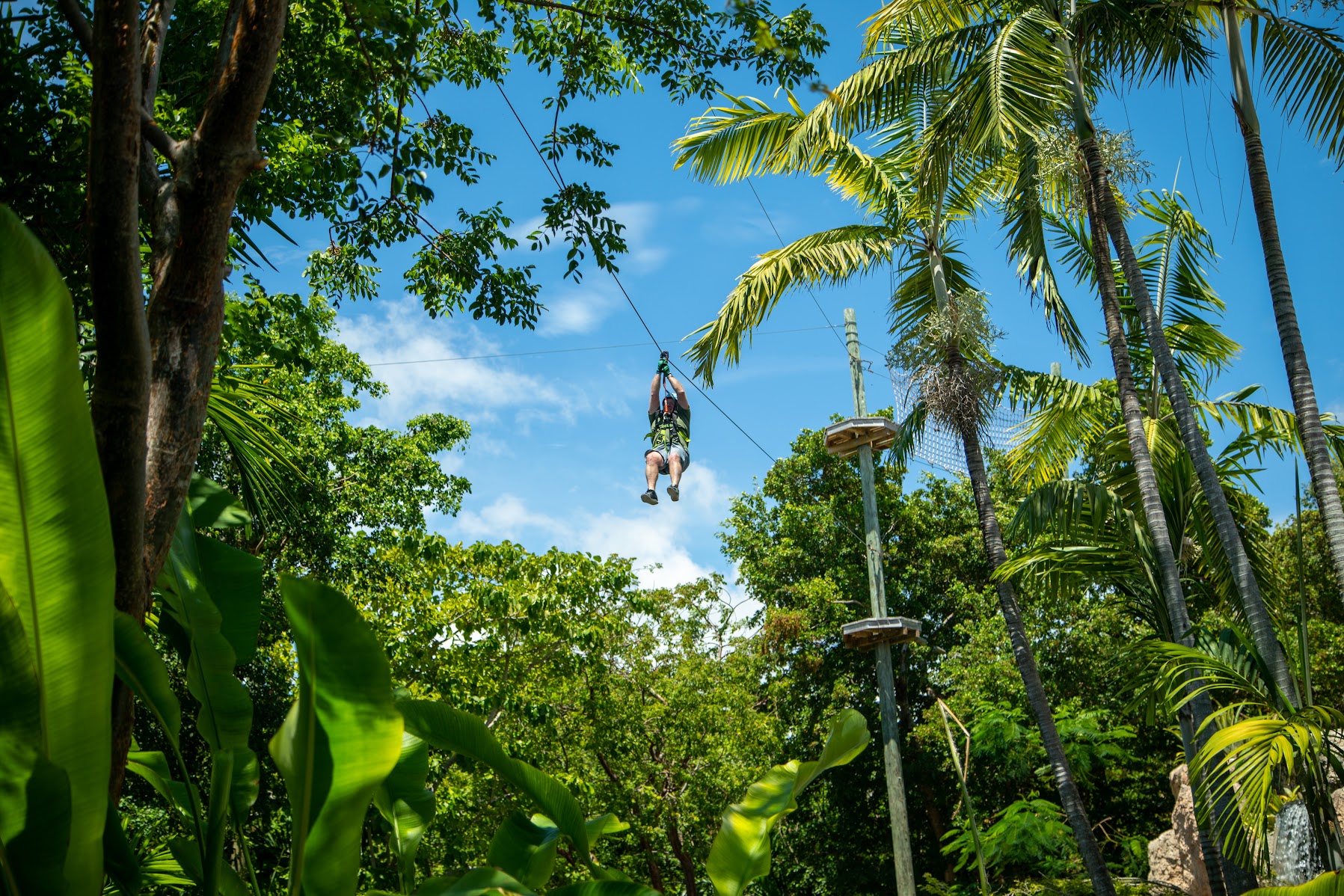 Night Treks at Treetop Trekking Miami – Premier Guide Miami