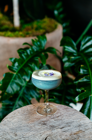 Earth Day Cocktails in Miami That Celebrate the Planet in Style ...