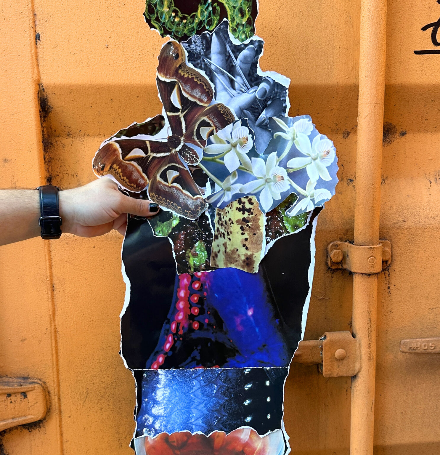 Thursdays at PAMM: Cut and Destroy – Premier Guide Miami