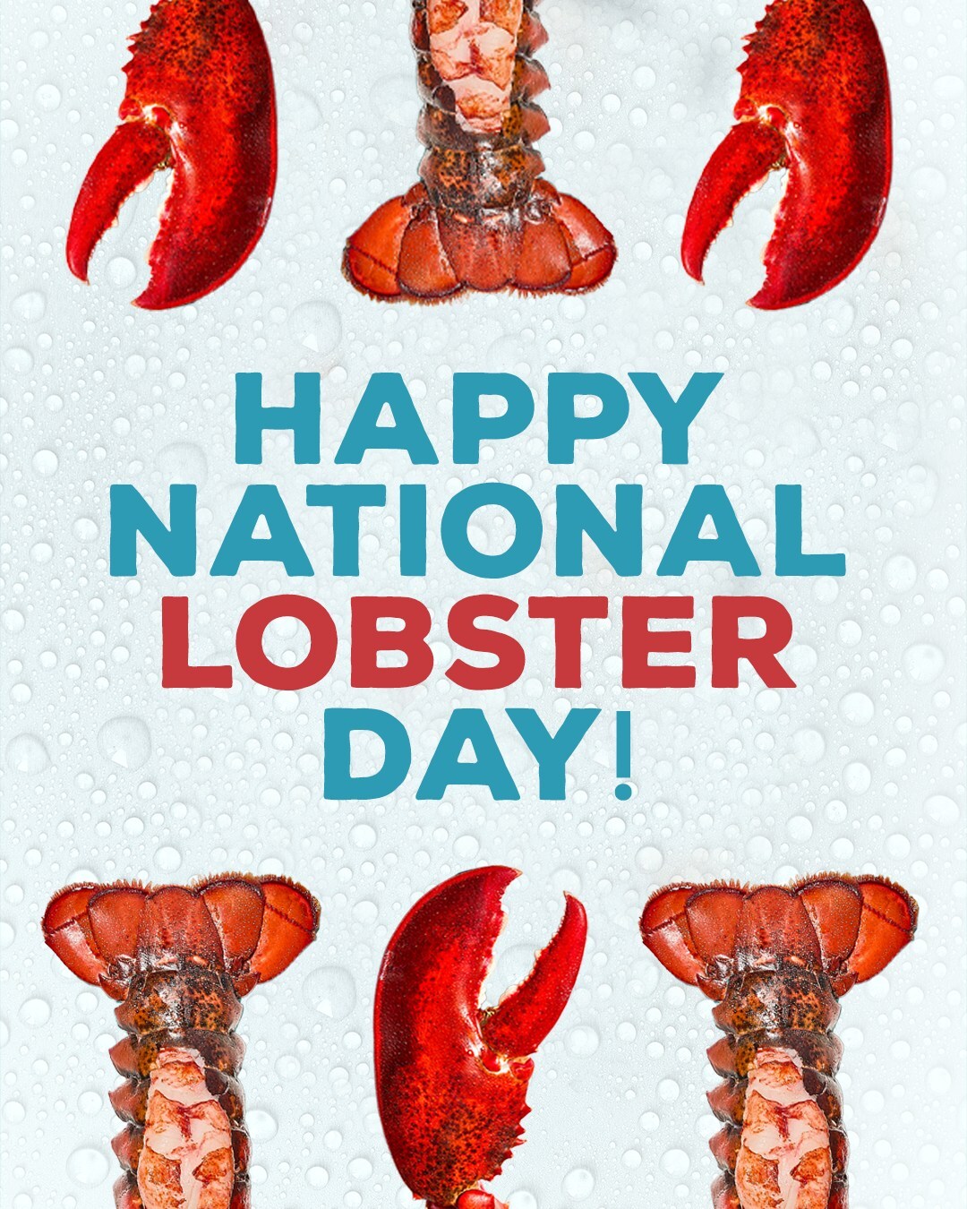 Celebrate National Lobster Day with Maine Lobster—Now in Miami ...
